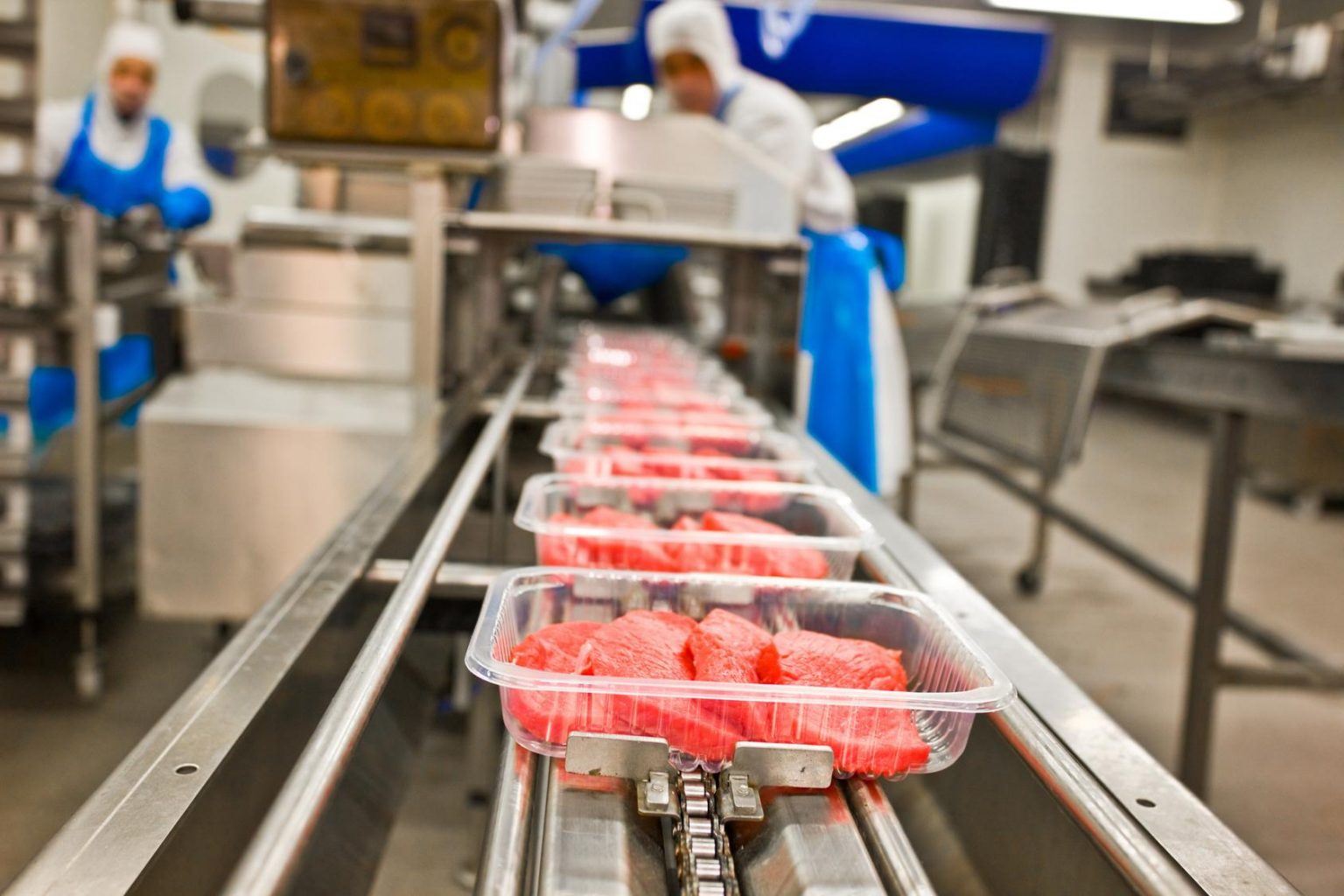 4 Tips Para Tener Éxito En El Sector Agroalimentario Aaamundial